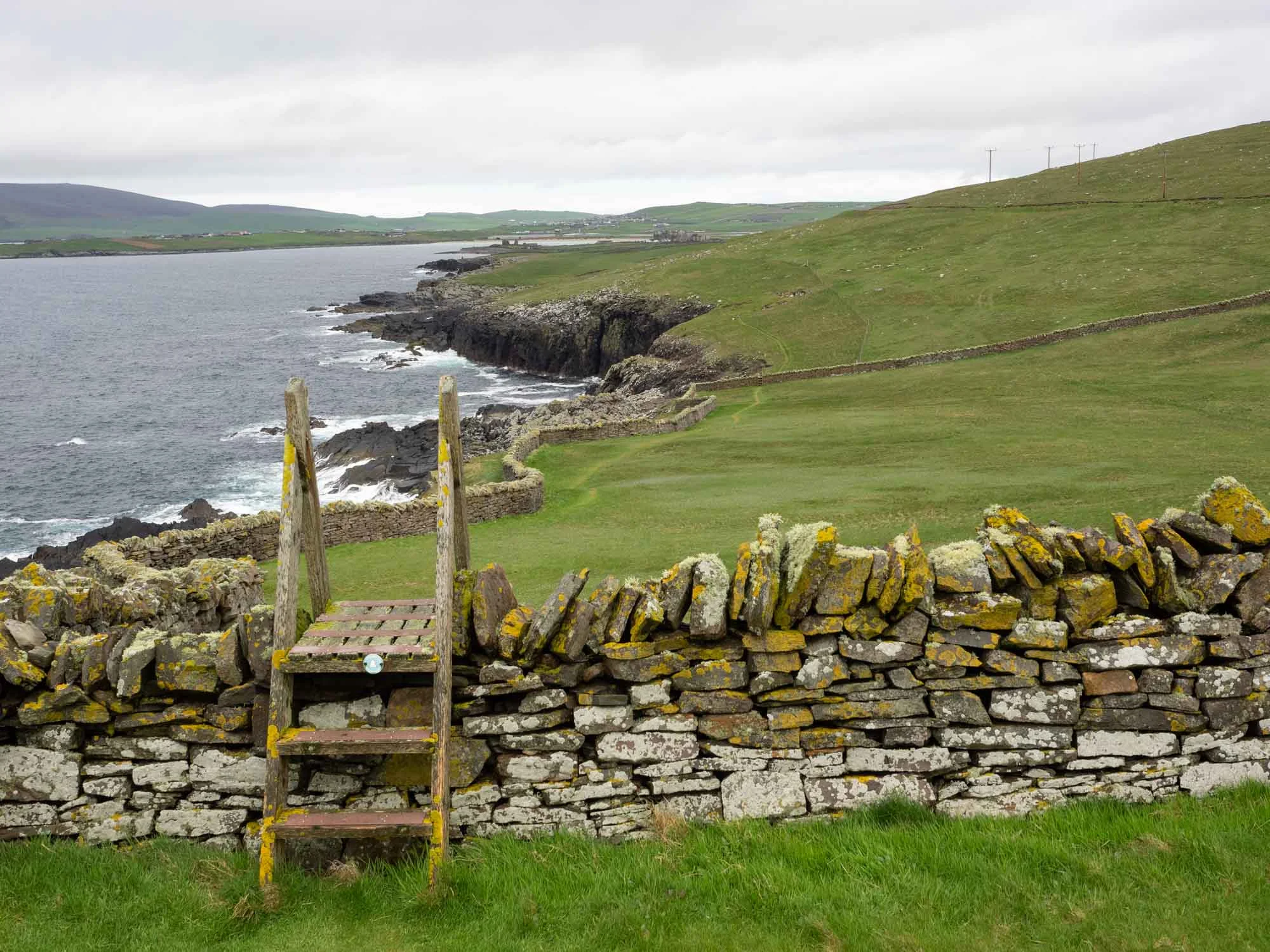 Shetland Islands: north & south — Life in a Southern Forest