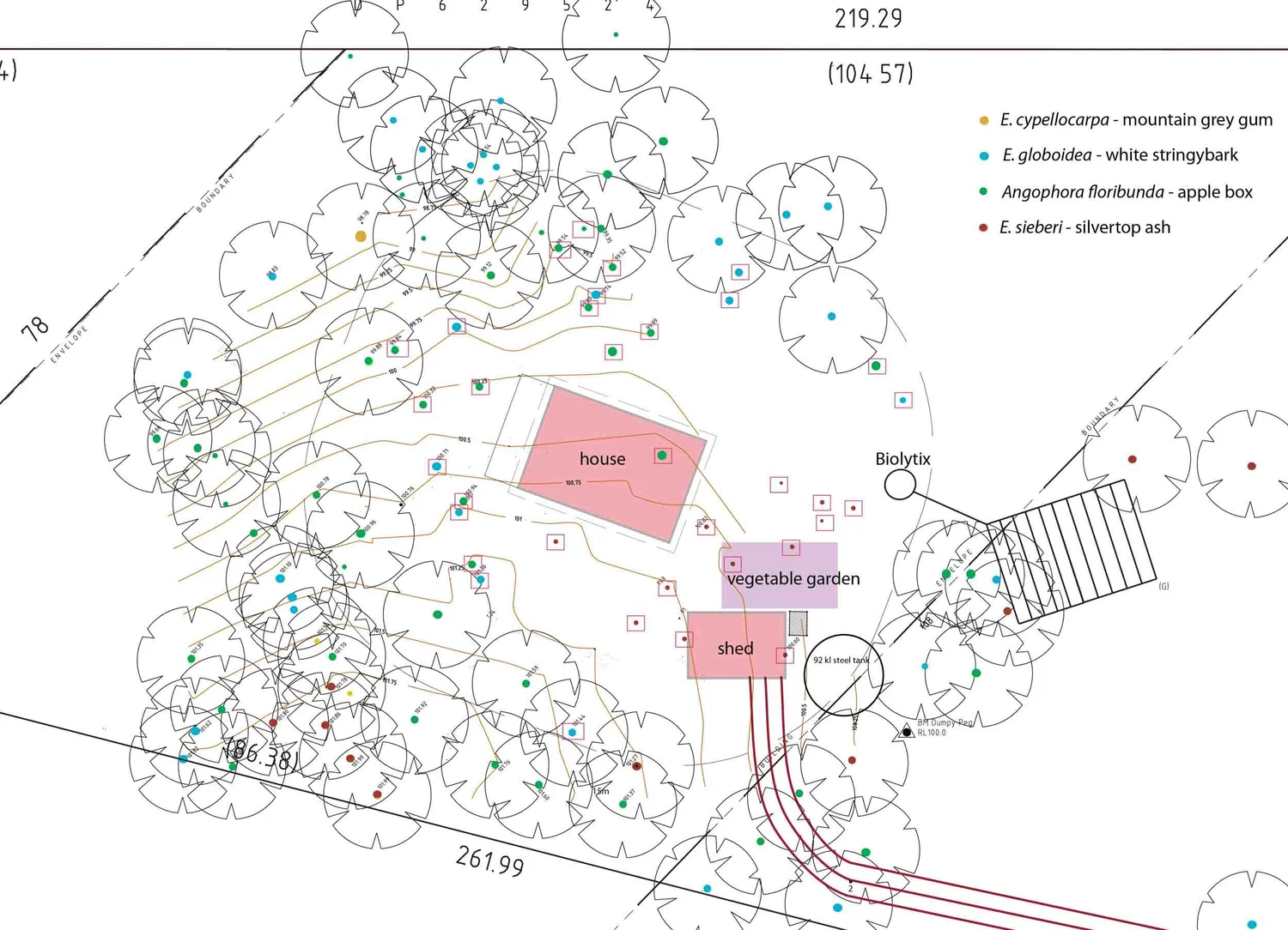 Building within a forest — Life in a Southern Forest