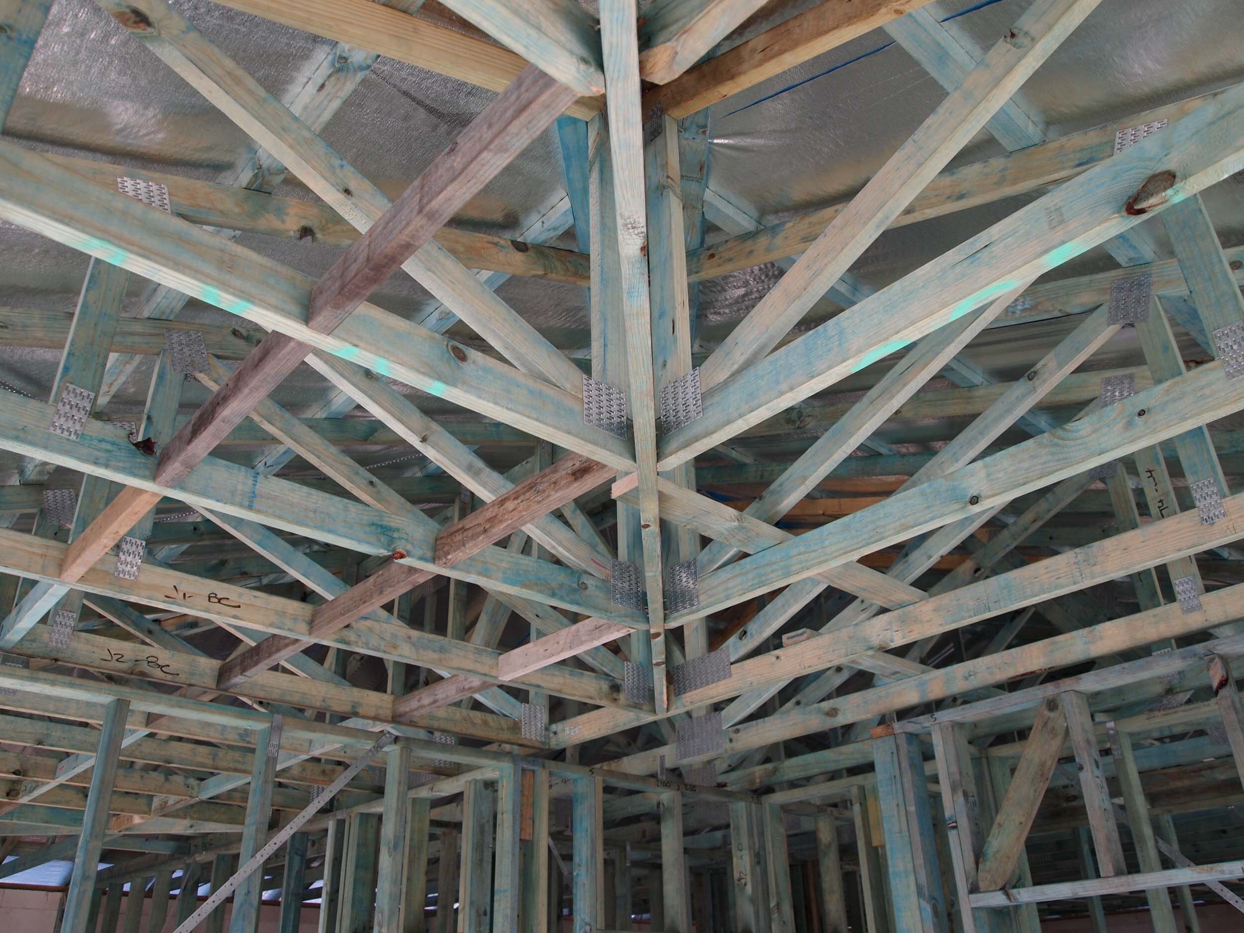 Building within a forest — Life in a Southern Forest