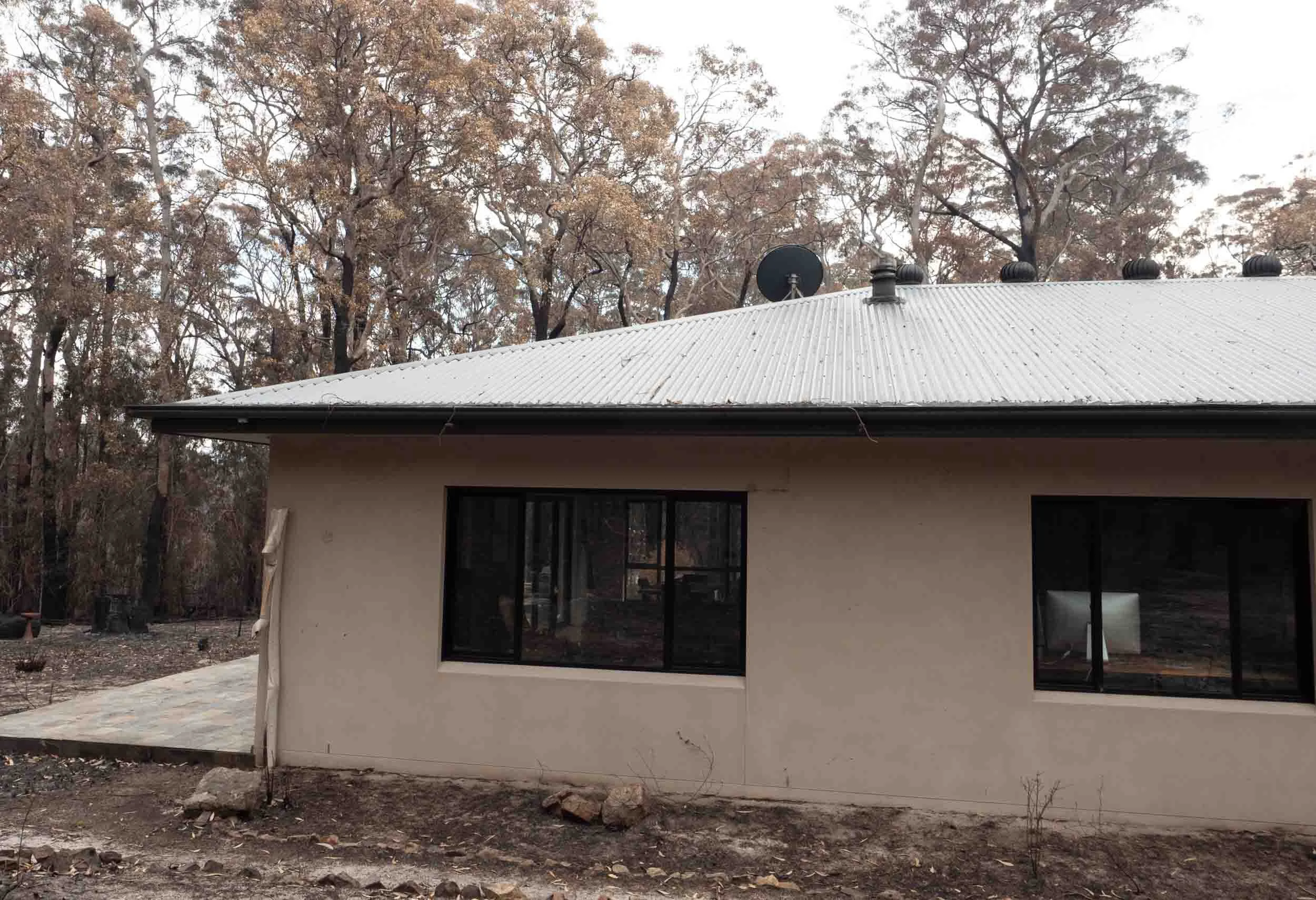 Building within a forest — Life in a Southern Forest