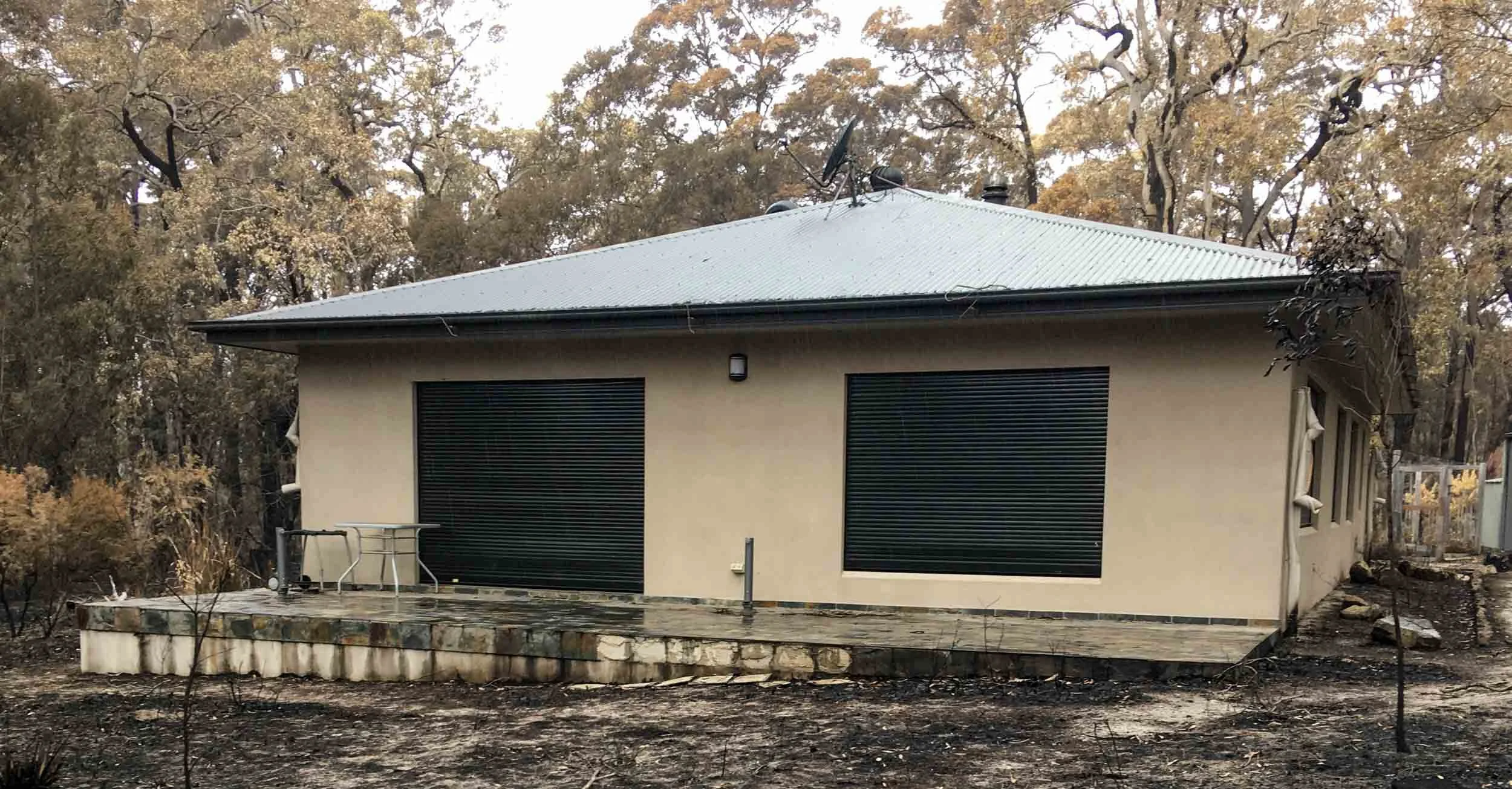 Building within a forest — Life in a Southern Forest