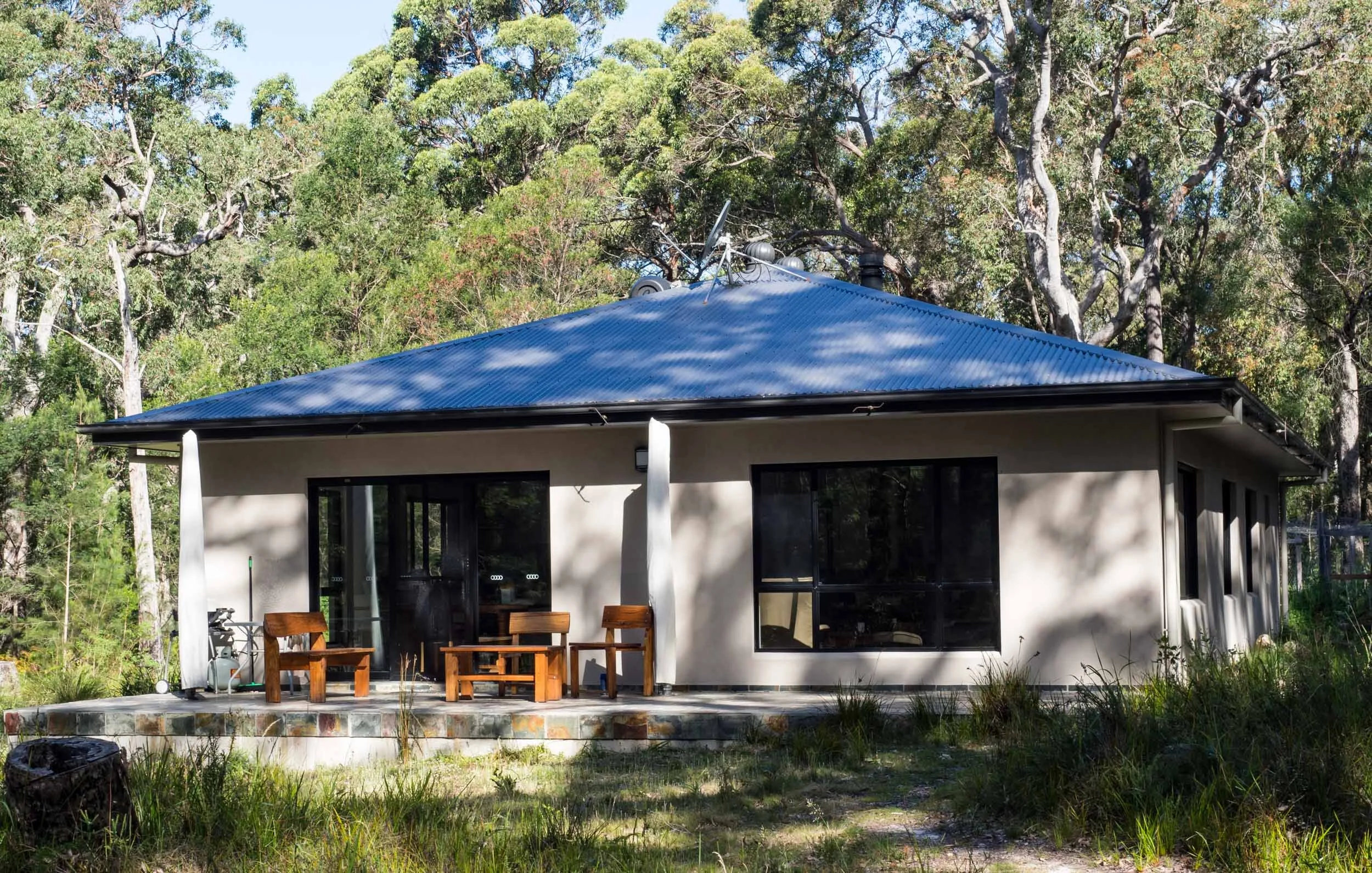 Building within a forest — Life in a Southern Forest