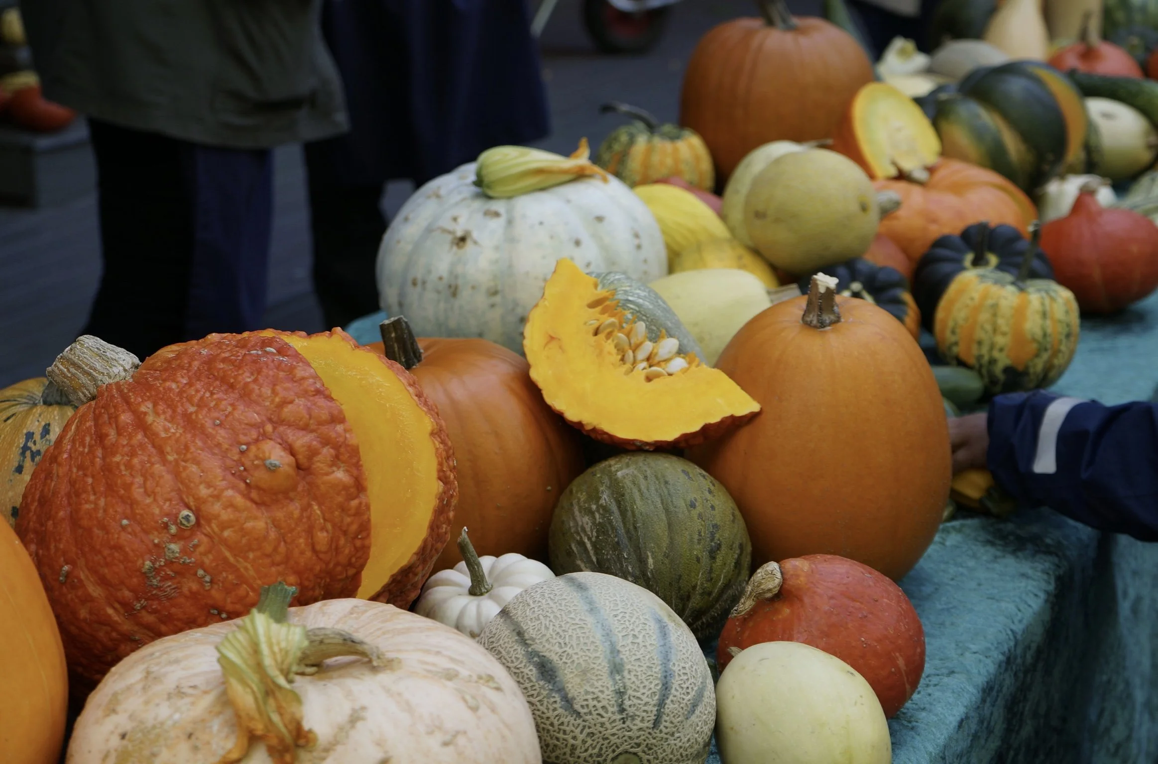 Halloween-challenge: SPIS GRESSKARET! — Geitmyra matkultursenter for barn