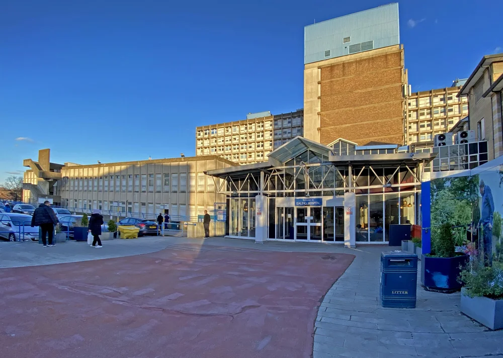 The Peregrines of Ealing Hospital — WILD LONDON
