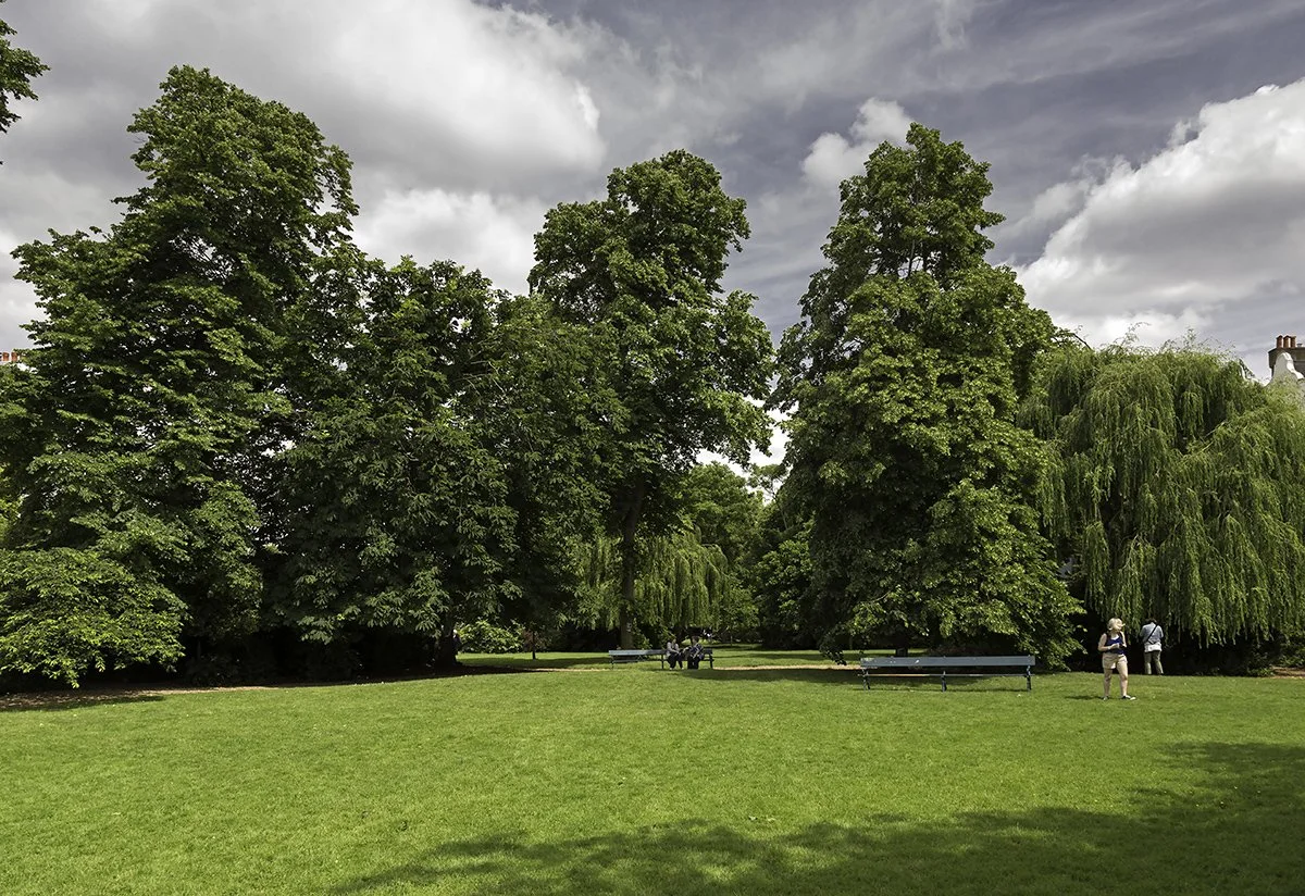 Focus on Notting Hill — WILD LONDON