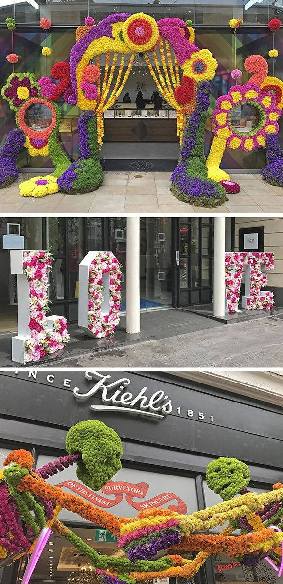 Focus on Chelsea — WILD LONDON