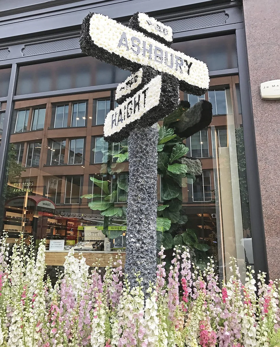 Focus on Chelsea — WILD LONDON