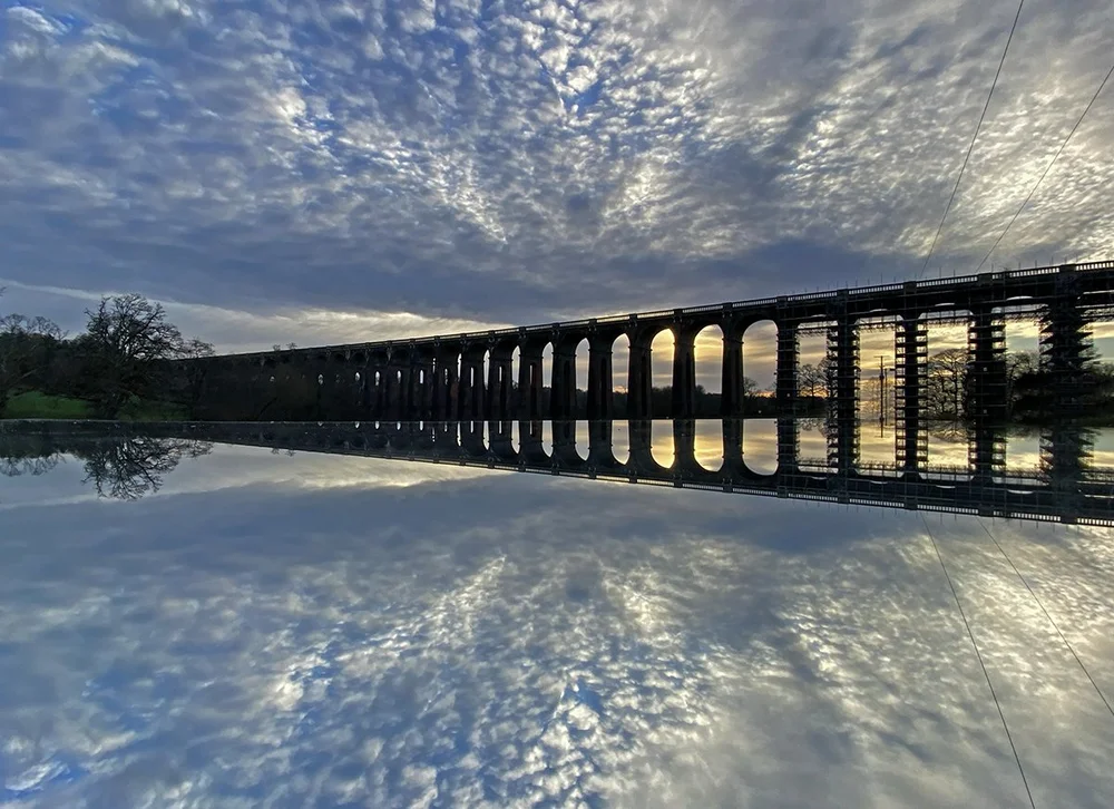 A variety of Viaducts — WILD LONDON