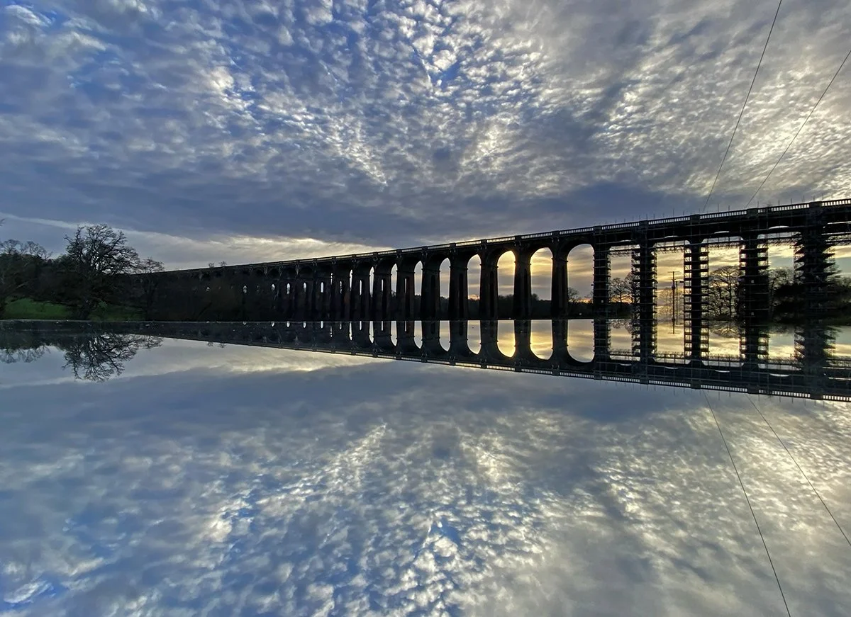 A variety of Viaducts — WILD LONDON