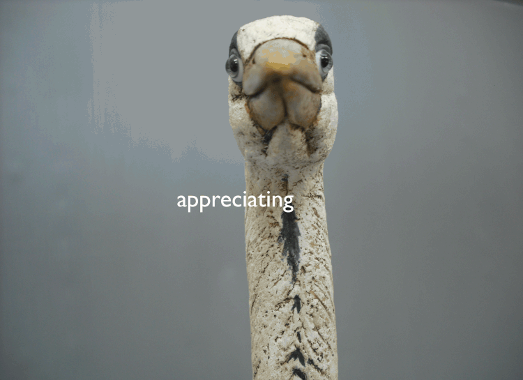 gail dooley ceramics