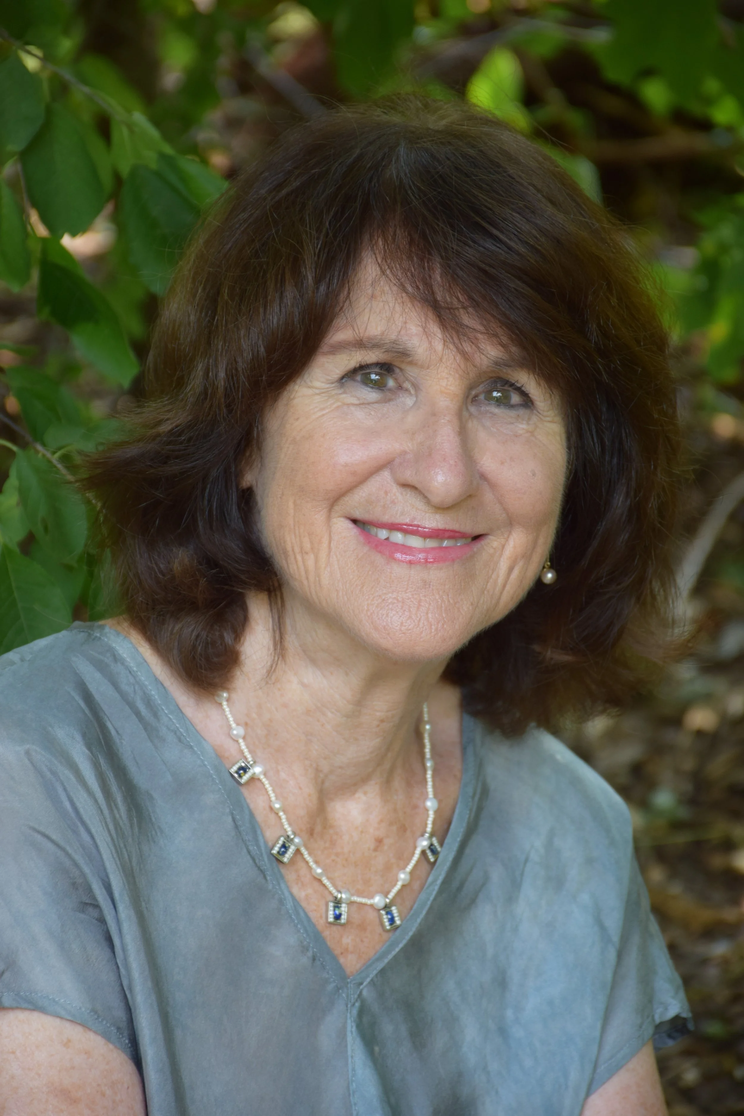 The Splendor Before Dark — History Book Festival