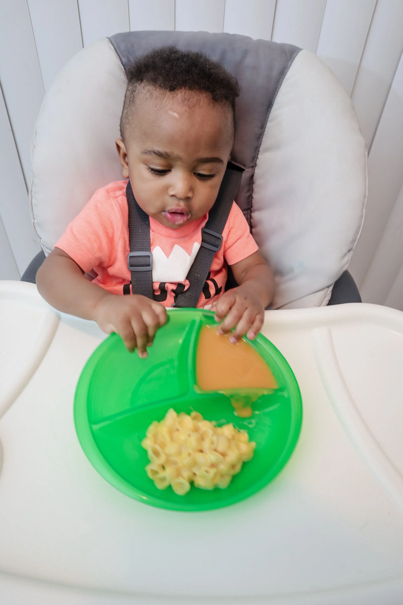 Little One’s Sleep Program Review — Freely Nat