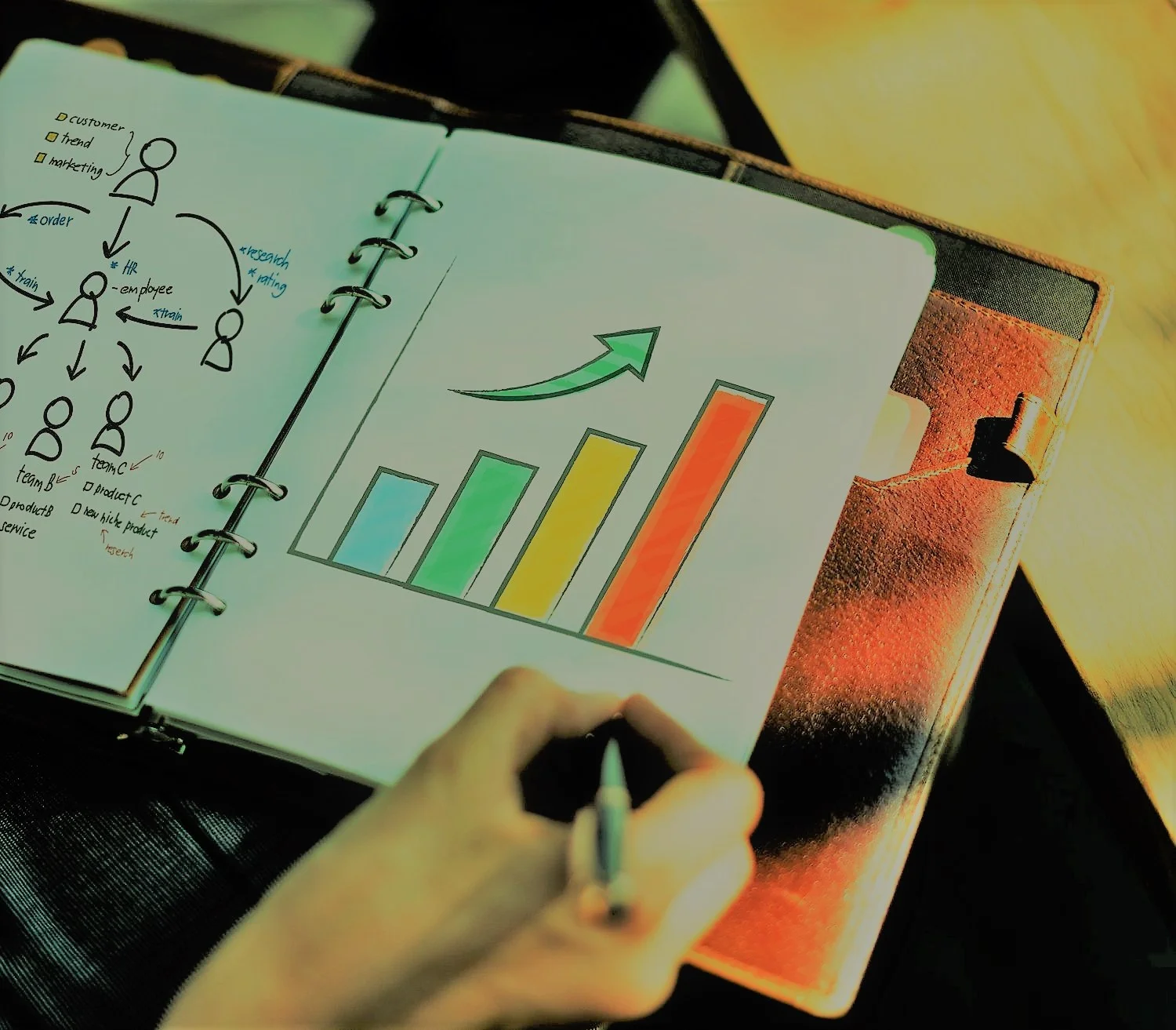 Metrics and Visualization — Sales-Link, Inc.