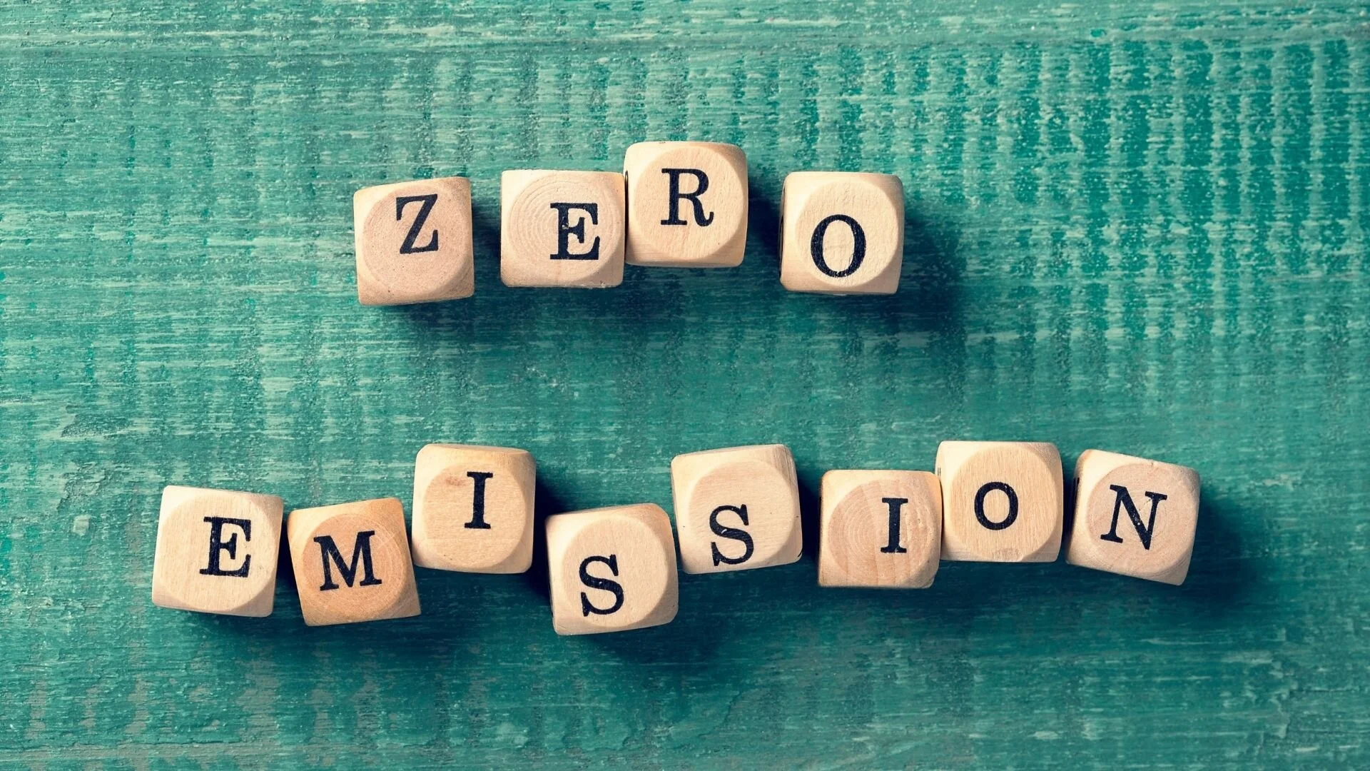 The Value of Nought - How to Align your Business with Net Zero — The ...