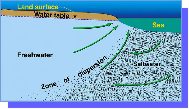 Brackish Water: Where Fresh Meets Salt | Guide | ThinkTank