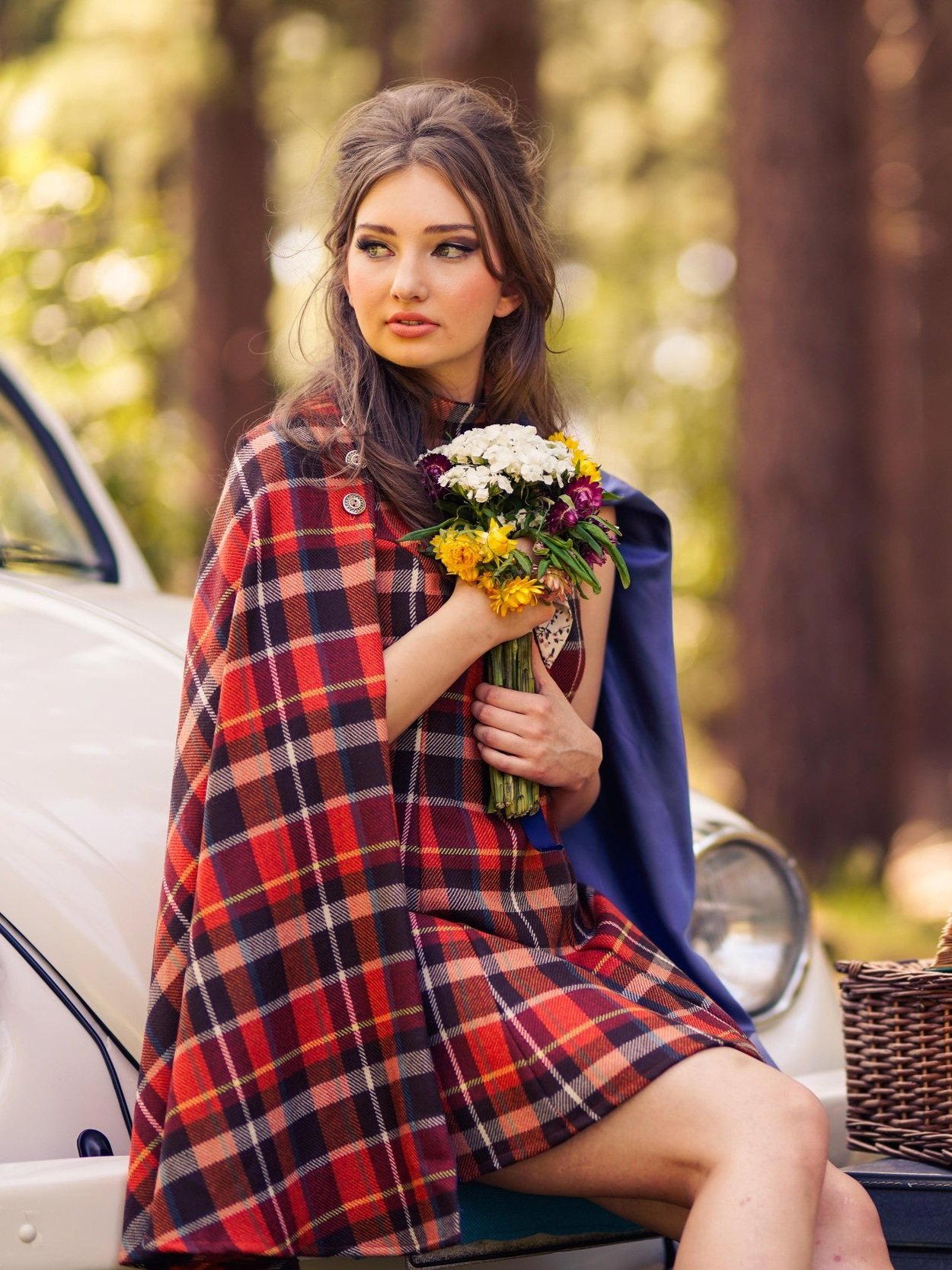 Sofia B — Finesse Models