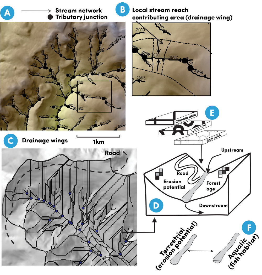 Virtual Watersheds — Terrainworks