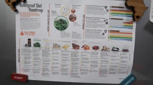 The Bulletproof Diet Roadmap: A Path to Longevity — JOSH SNYMAN