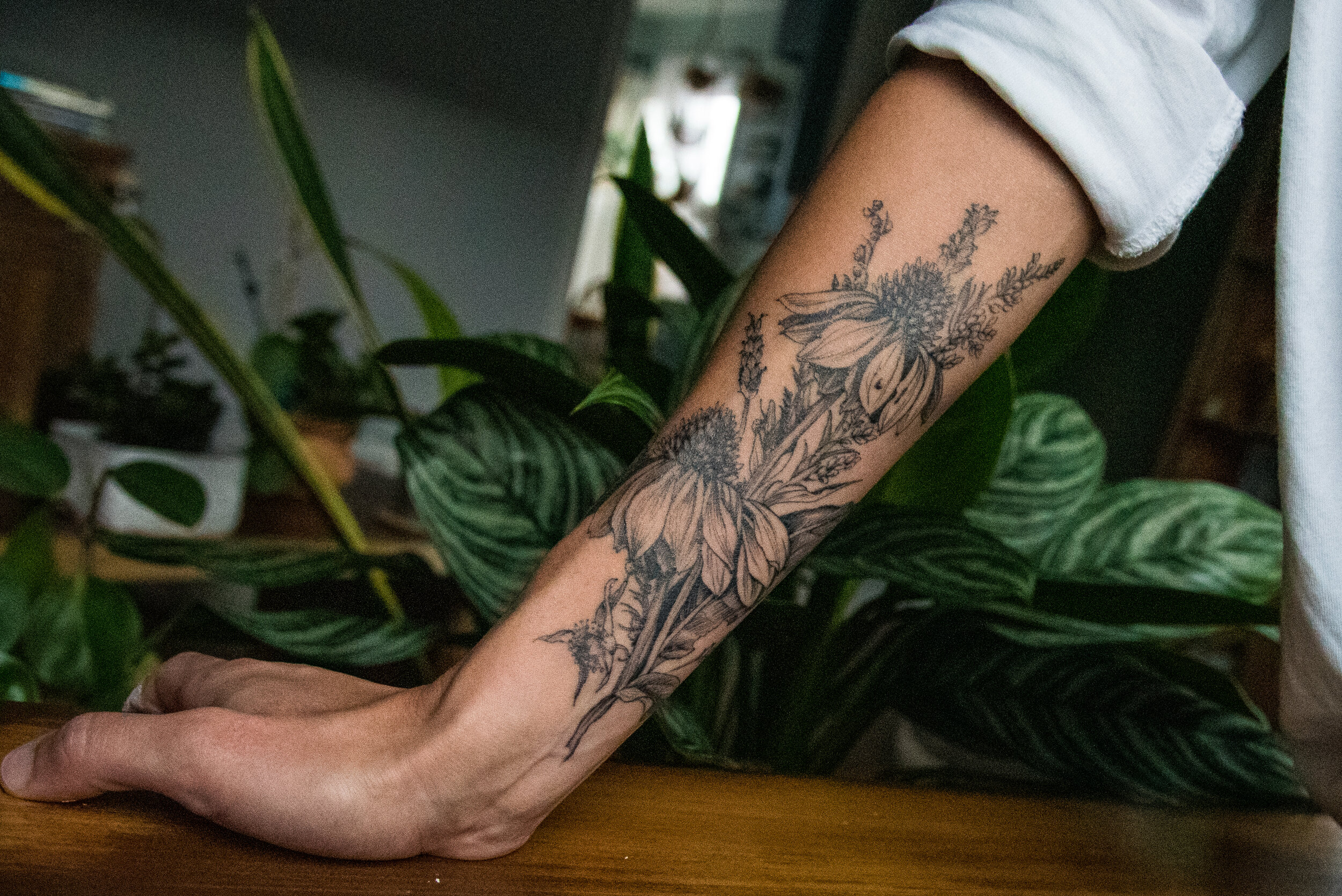 The Muse — Courtney Roth