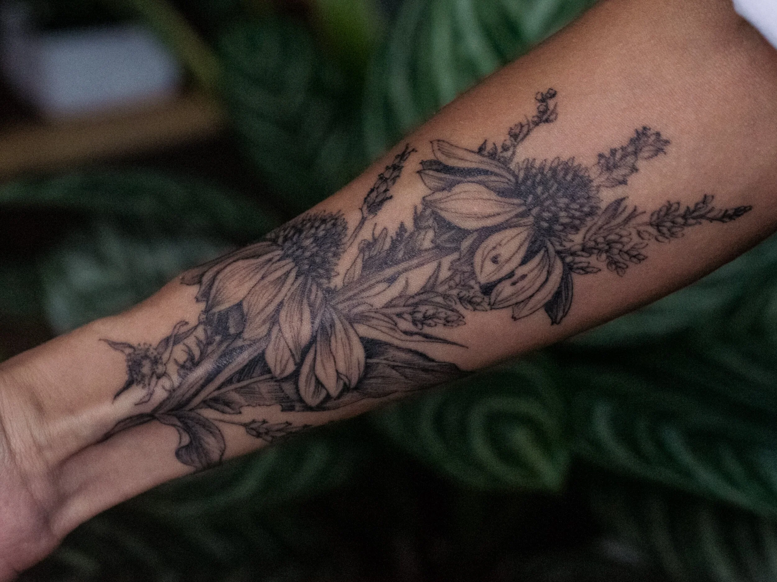 portfolio — The Muse — Courtney Roth