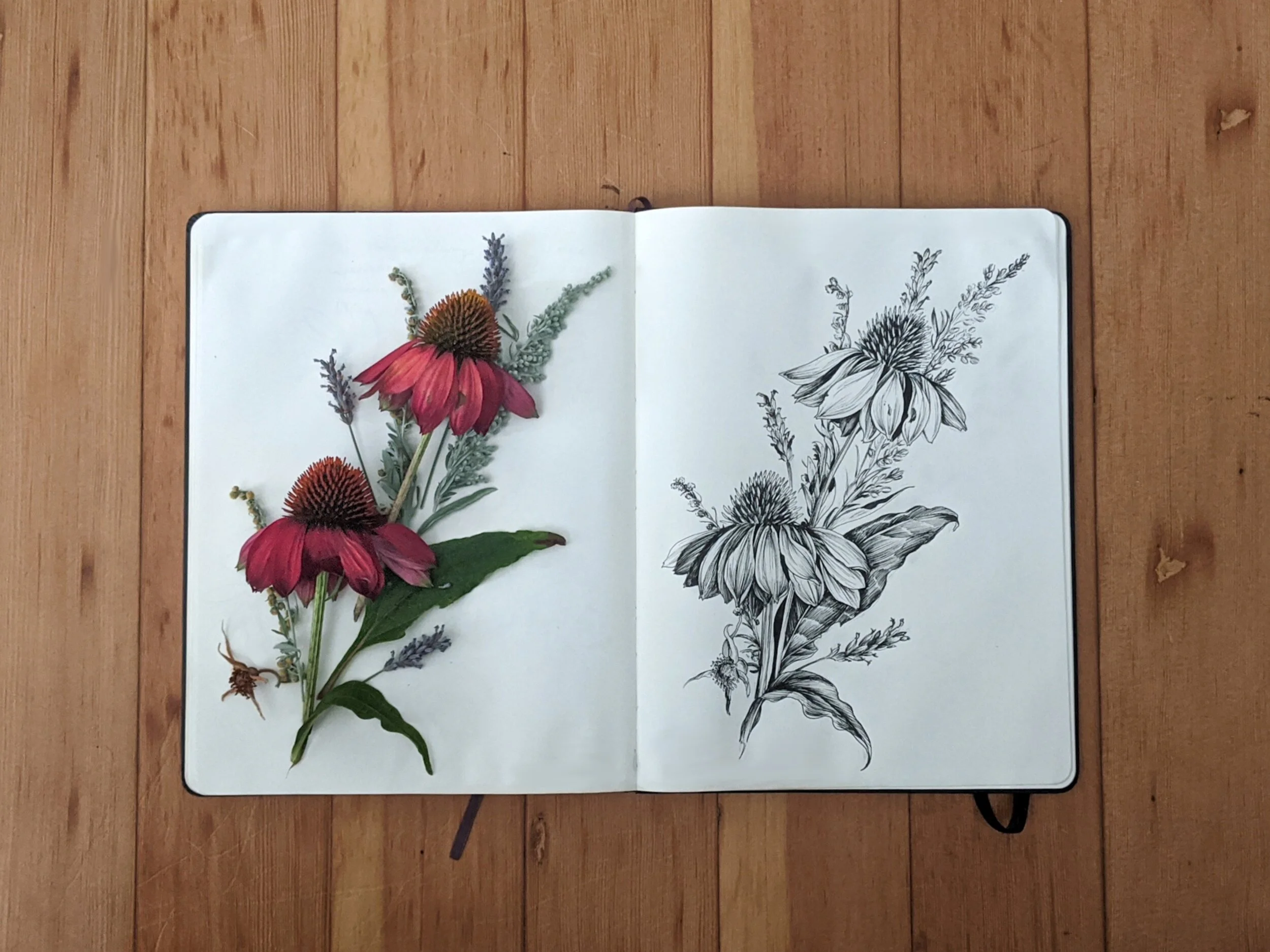 portfolio — The Muse — Courtney Roth