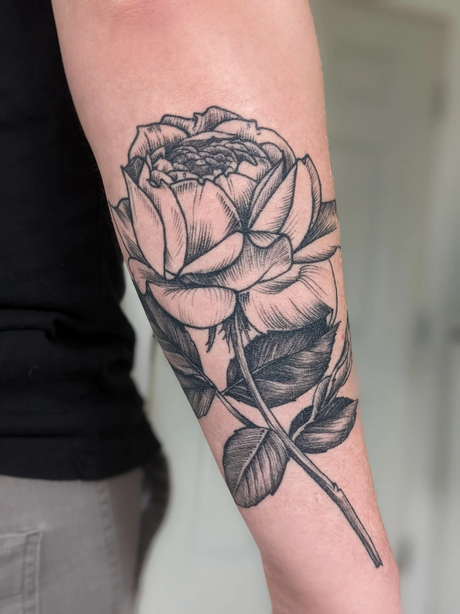 Scarification Healed Rose