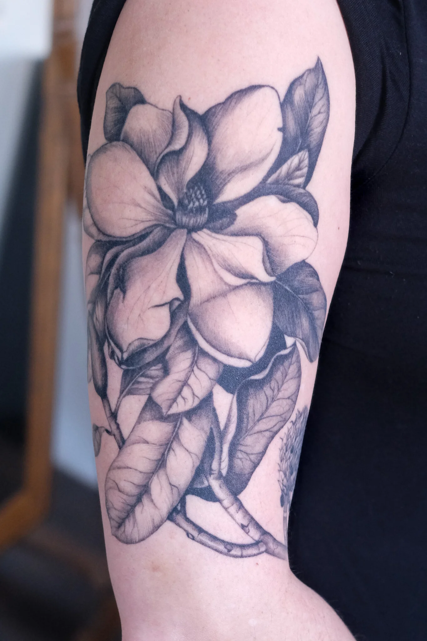 portfolio — The Muse — Courtney Roth