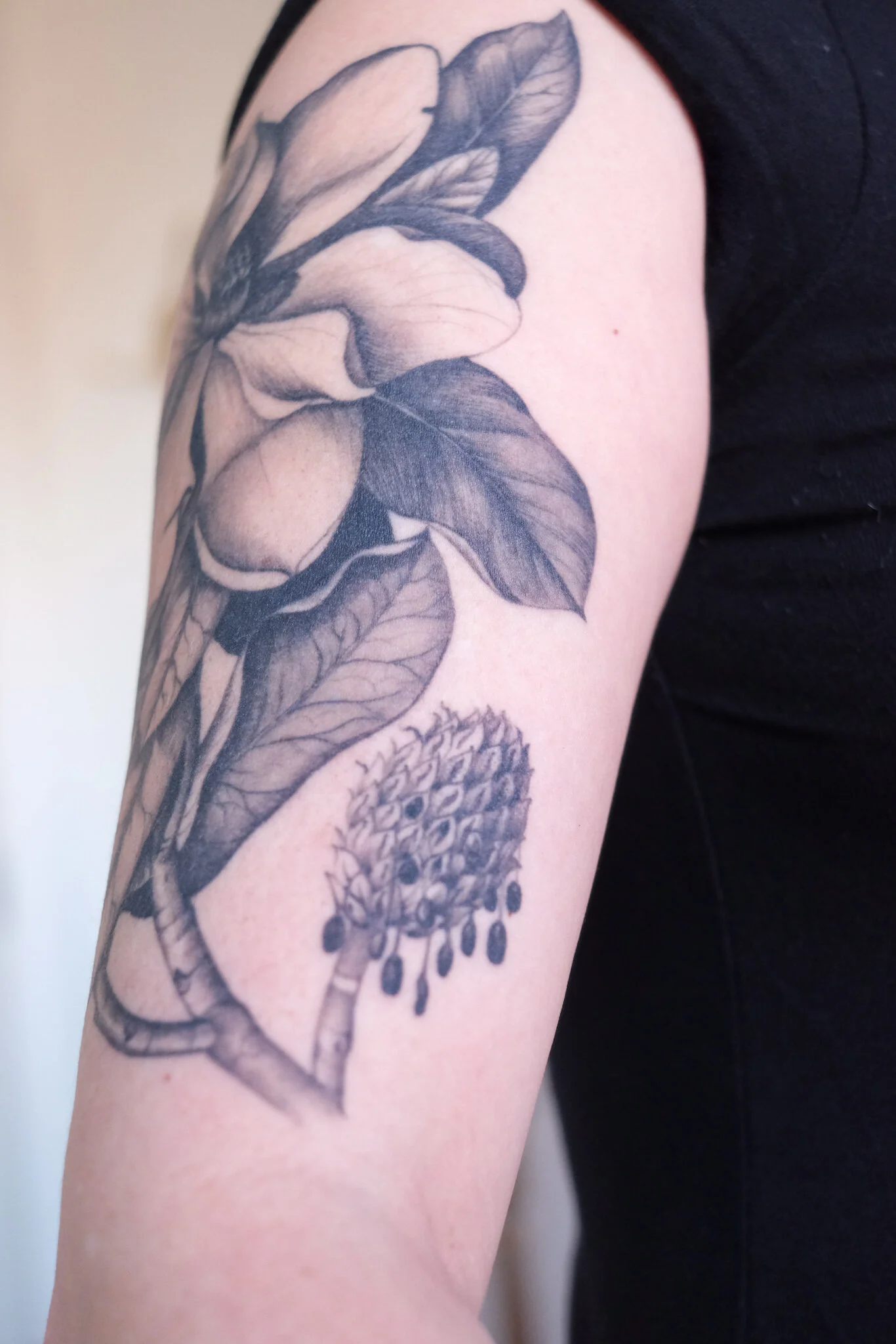 portfolio — The Muse — Courtney Roth