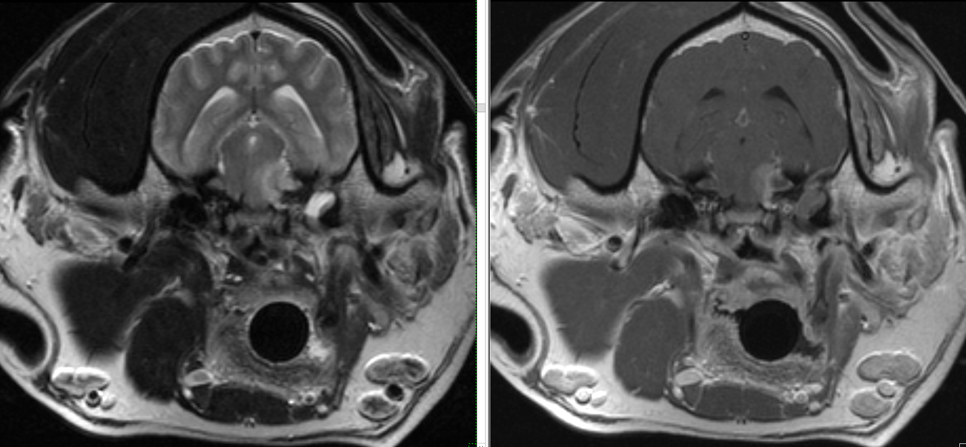 About Us — Virtual Scan