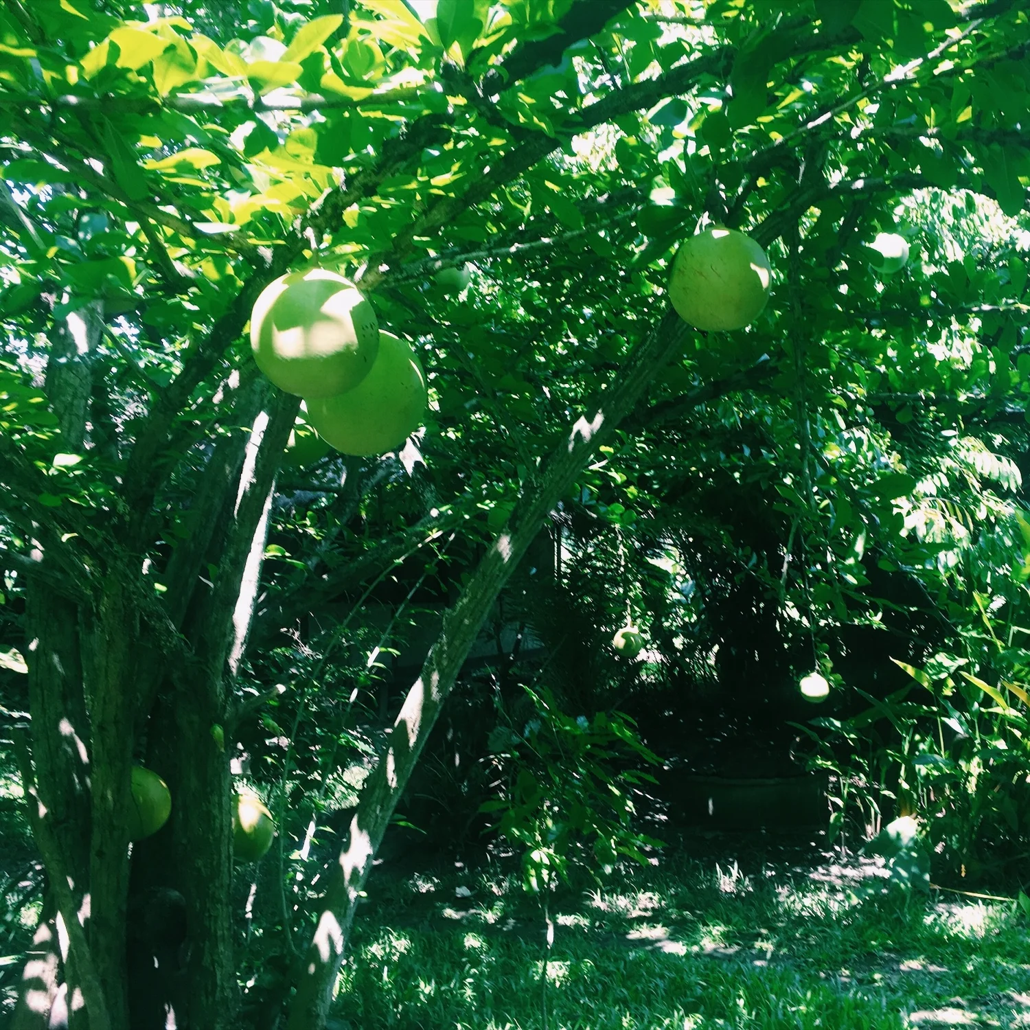 Chasing Waterfalls — Pretty Pai ~ THAILAND