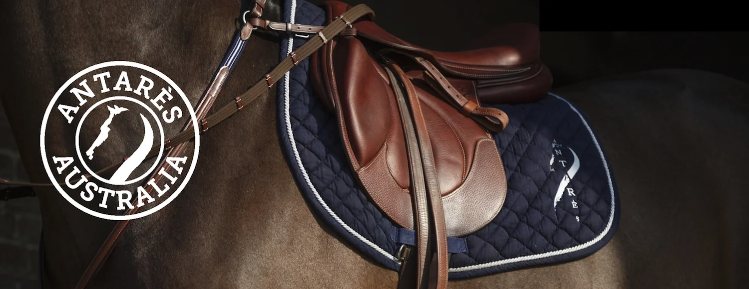 Antares Saddle