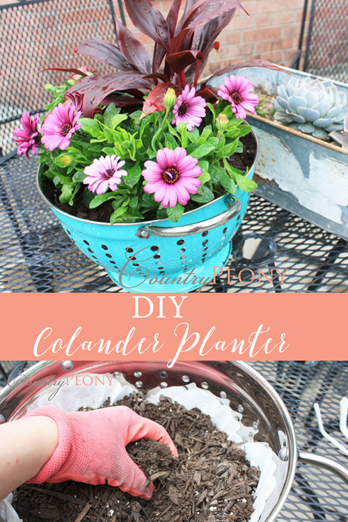 Colander Planter — Country Peony
