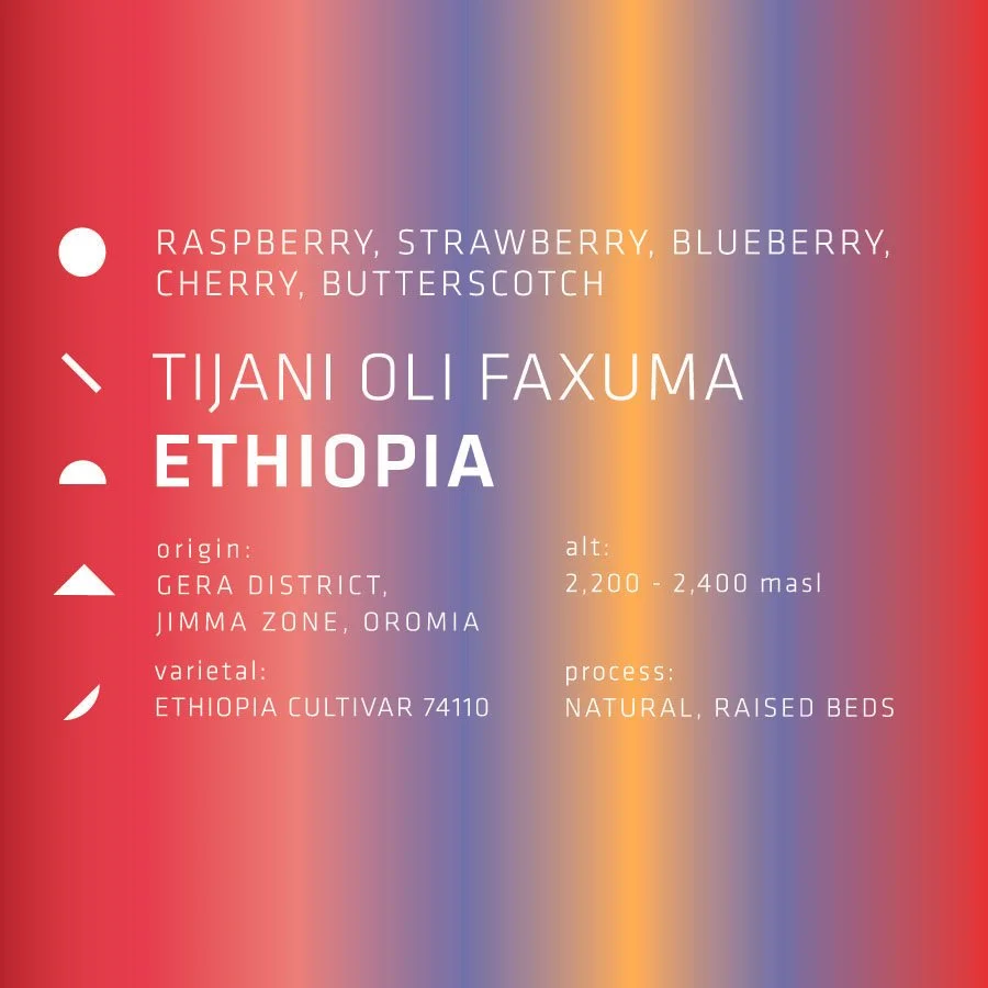 Coffee Beans — Cognoscenti Coffee