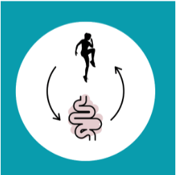 Interplay Between Exercise and Gut Health: How to Improve Exercise with ...