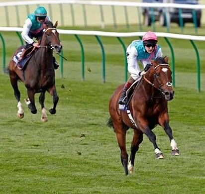 Frankel: The Story of a Legendary Racehorse — The Sporting Blog