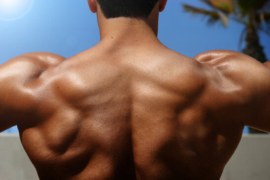 The Best Trapezius Exercises — The Sporting Blog