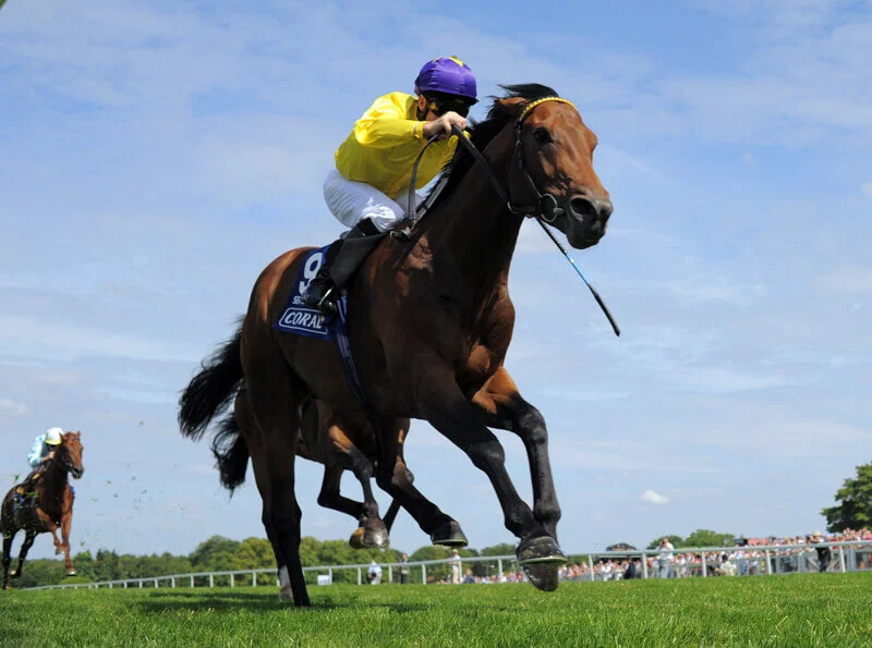Sea The Stars - King of Middle Distance Horses — The Sporting Blog