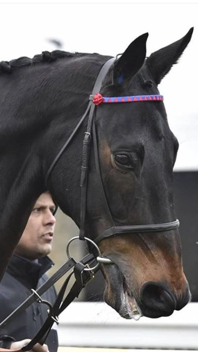 Sprinter Sacre: Legendary Steeplechaser — The Sporting Blog