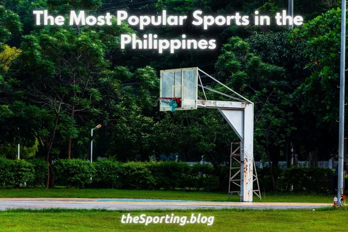 The 10 Most Popular Sports in the USA: Audience Survey Analysis — The ...