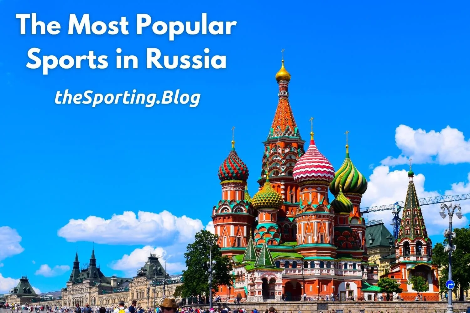 The 10 Most Popular Sports in the World: Fan Numbers and Participation ...