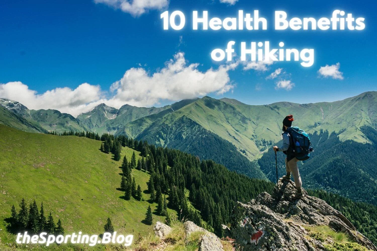 Fitness Blog: Fitness, Training, Health and Wellness articles and ...