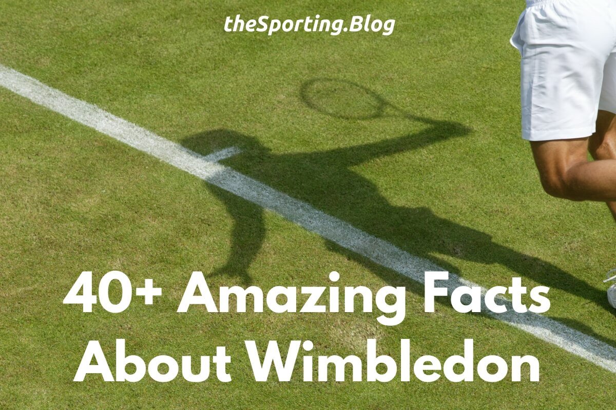 Tennis content : stories, interviews, opinions — The Sporting Blog