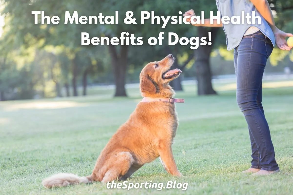 Fitness Blog: Fitness, Training, Health and Wellness articles and ...