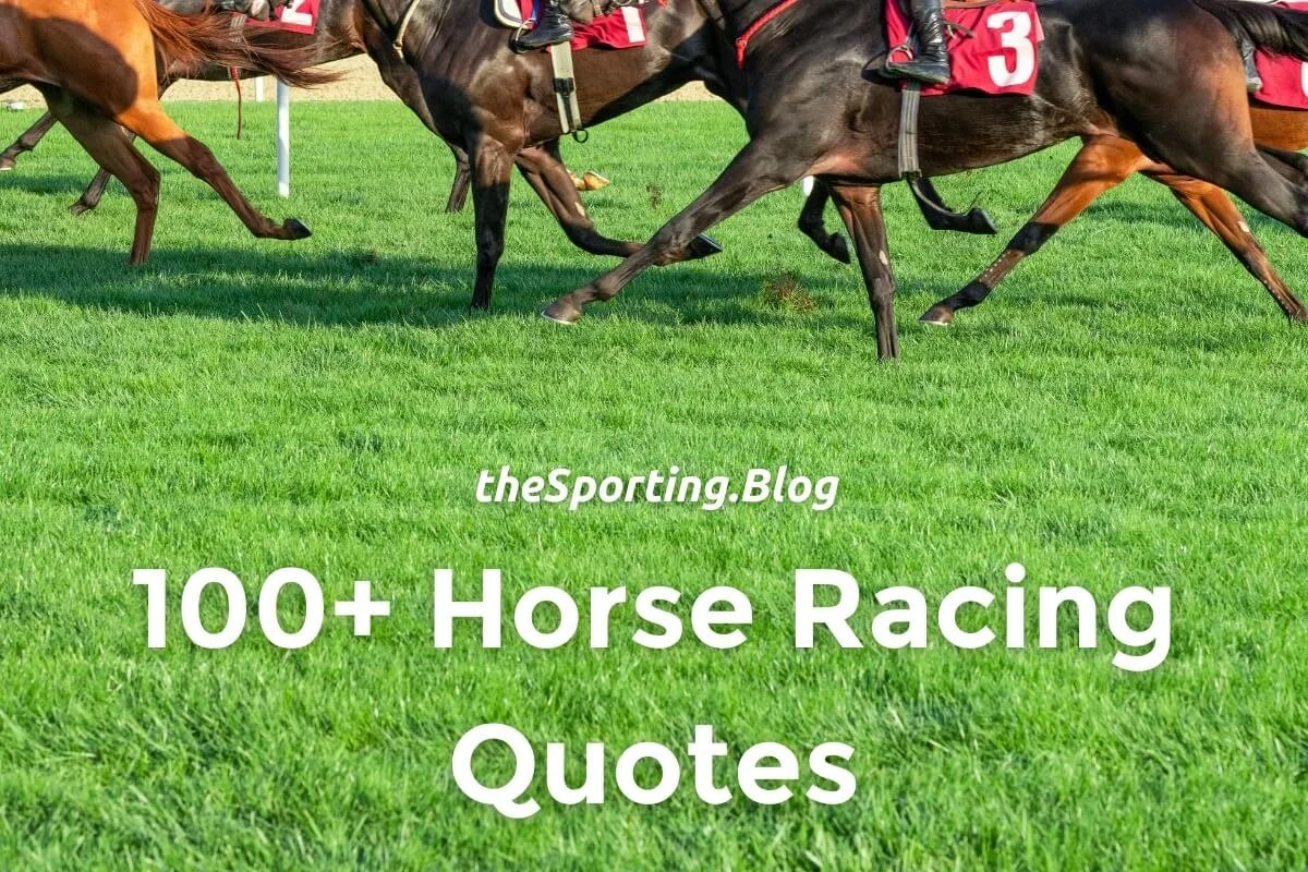 Horse Racing Quotes: The Ultimate Collection of Over 100 Quotes about ...