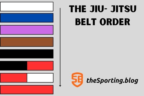 A Guide to Jiu-Jitsu Rankings and Belt Order — The Sporting Blog