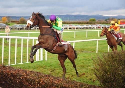 The Enduring Challenge of Cheltenham: A Test of Horse and Rider — The ...