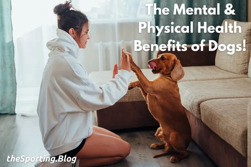 The Mental and Physical Health Benefits of Owning a Dog — The Sporting Blog