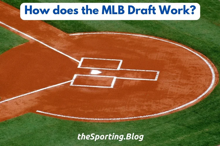 The MLB Draft: EXPLAINED — The Sporting Blog