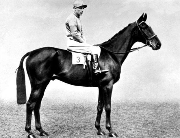 The Enduring Challenge of Cheltenham: A Test of Horse and Rider — The ...