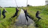 Leap Across the Canals: A Beginner's Guide to Fierljeppen and Canal ...